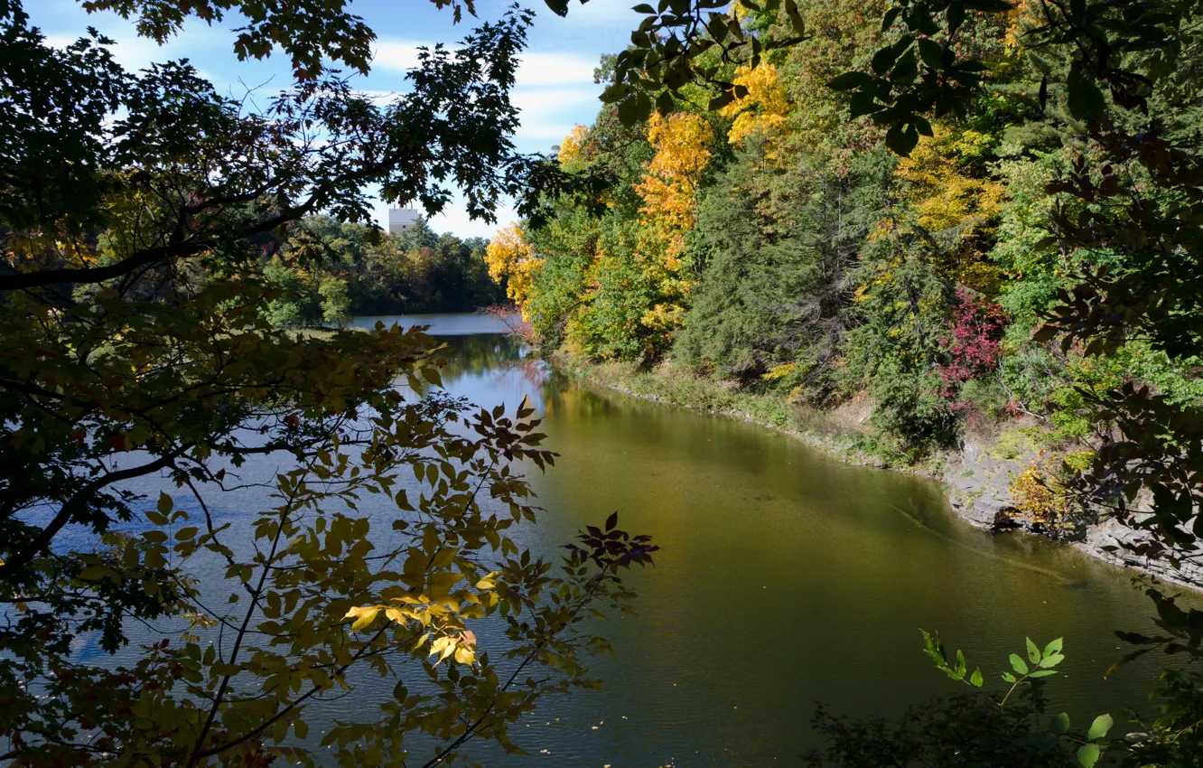 Wallpaper autumn, nature, USA, USA, river, autumn, fall, Cornell ...