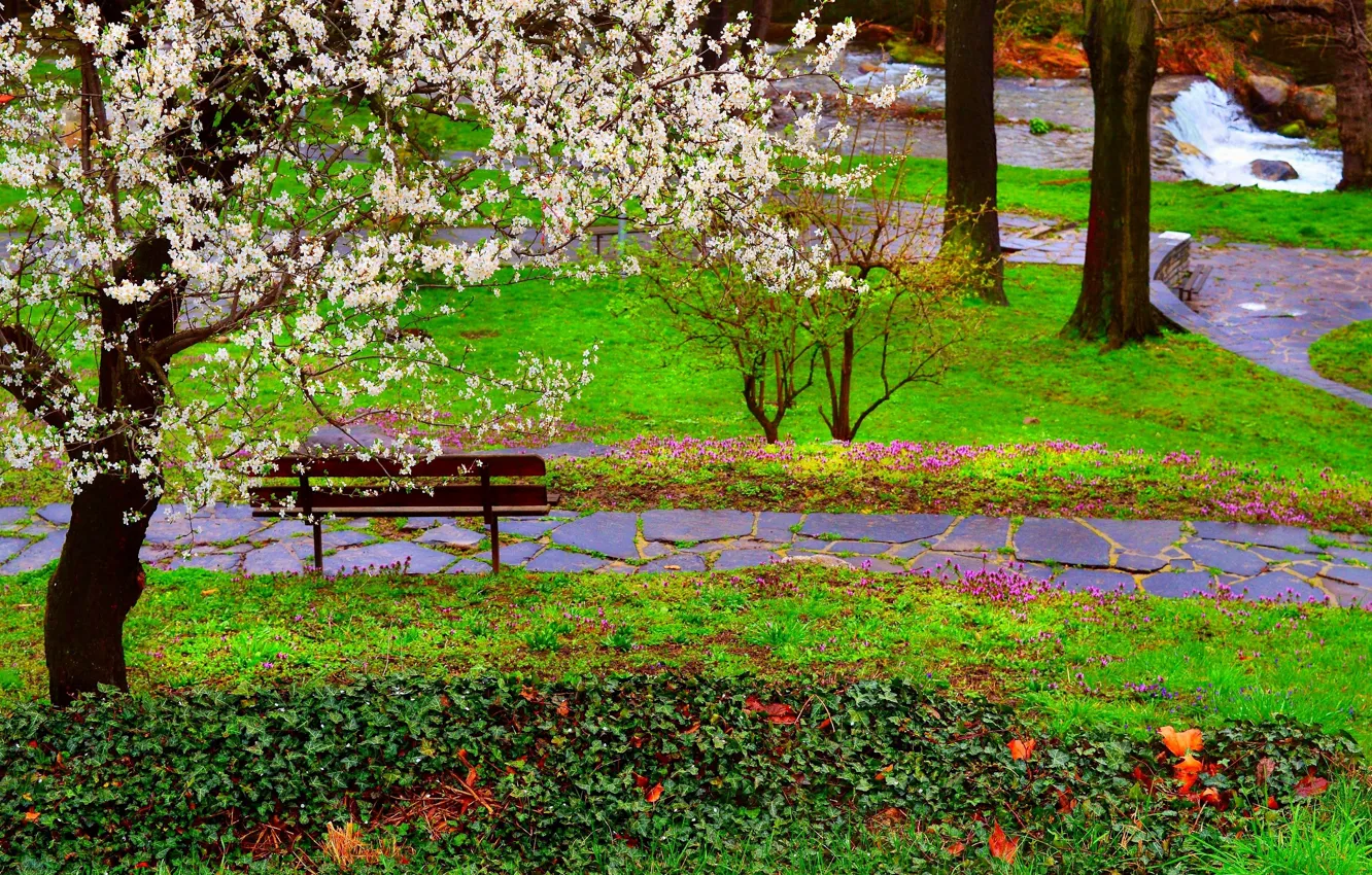 Wallpaper Nature, Grass, Spring, Bench, Park, Nature, Grass, River for ...