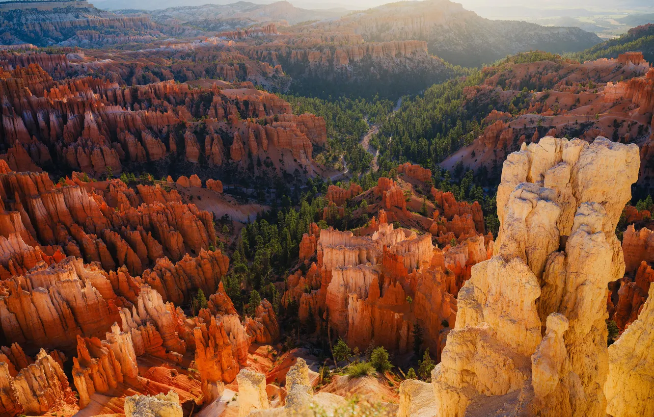 Wallpaper the sun, trees, rocks, USA, Utah, Bryce Canyon National Park ...