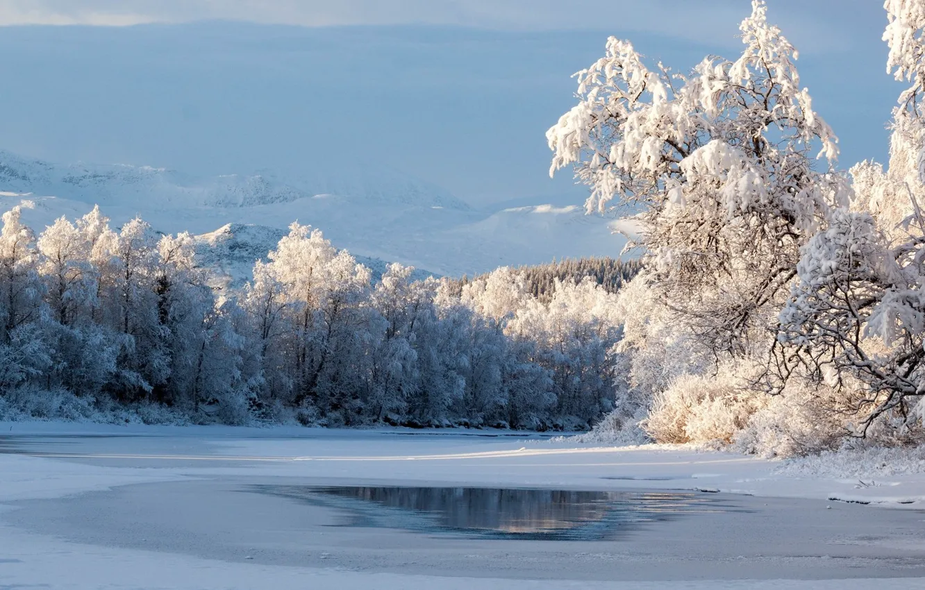 Wallpaper winter, snow, beauty for mobile and desktop, section пейзажи ...