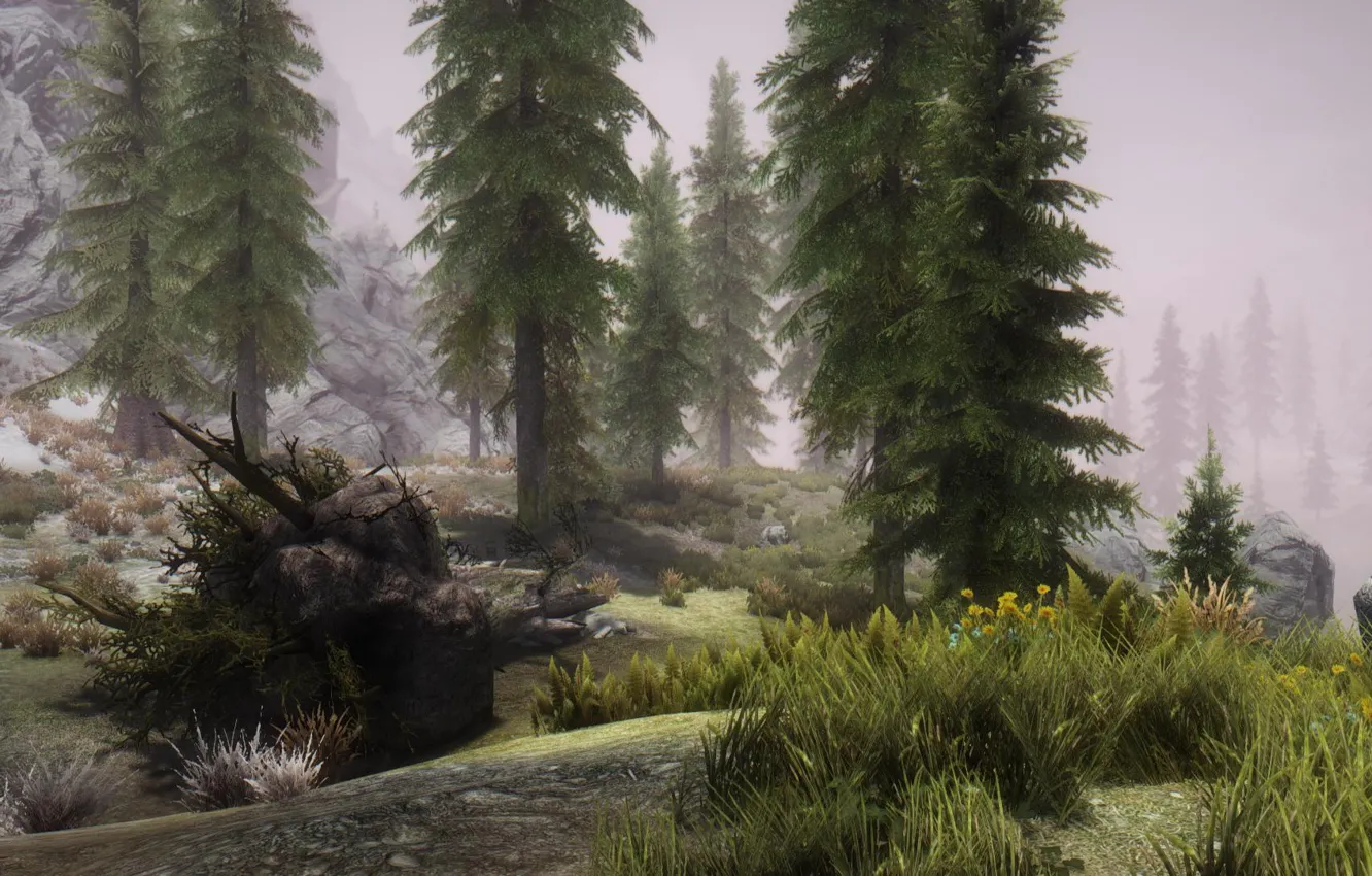 Wallpaper grass, mountains, fog, stone, spruce, grass, stone, mountain ...