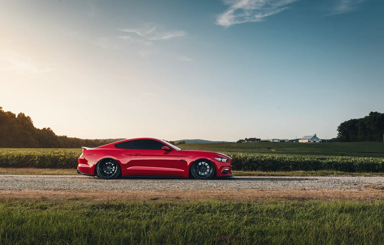Wallpaper Mustang, Ford, side view, 2018, Mustang GT, by Jimmy Zhang ...