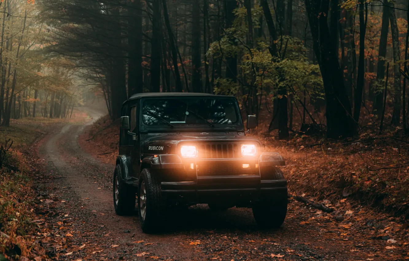 Wallpaper Wood, Lights, Autumn, Wrangler, Jeep, Trees, Offroad, Joshua ...