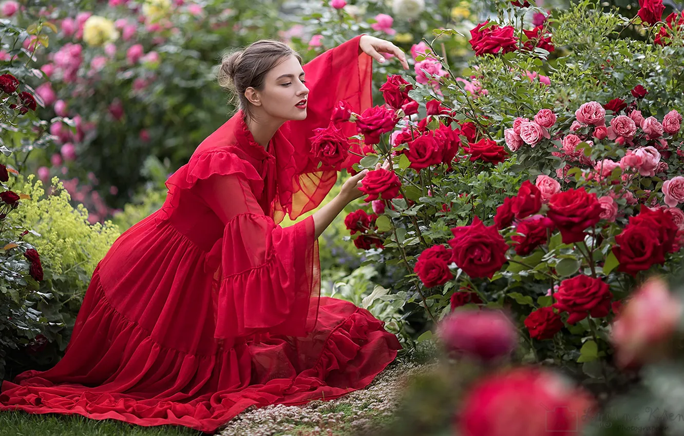 Wallpaper Flowers, Roses, Girl for mobile and desktop, section девушки ...