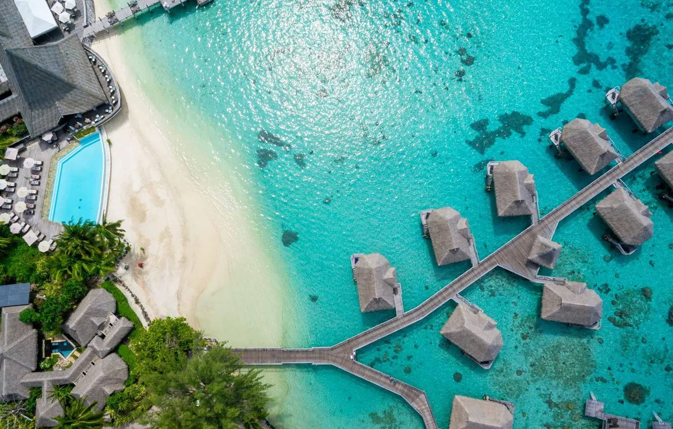 Wallpaper beach, tropics, palm trees, the ocean, pool, the hotel ...