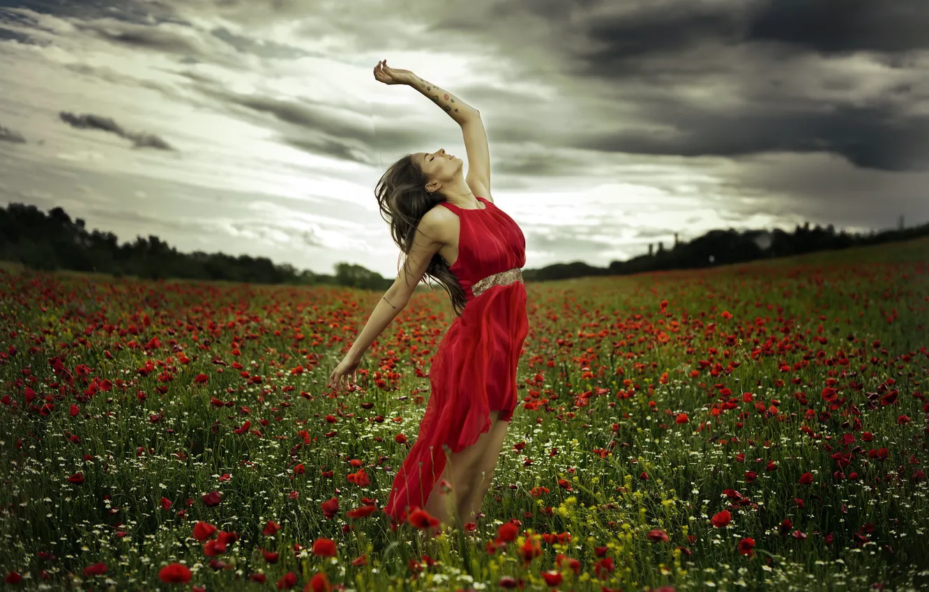 Wallpaper field, summer, pose, girls, Maki for mobile and desktop ...