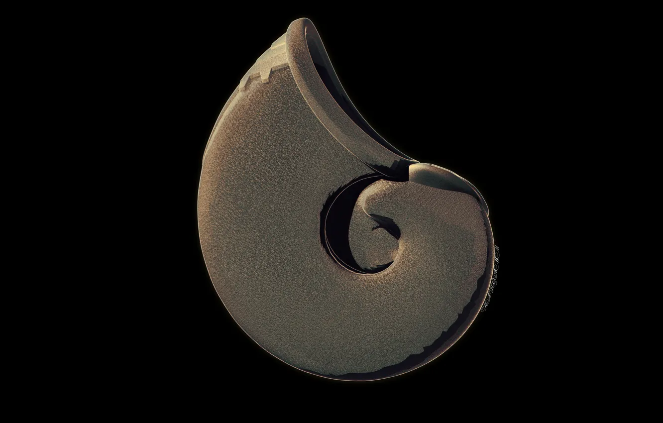 Wallpaper shell, scifi, blender3d, 3dart, blender render images for ...