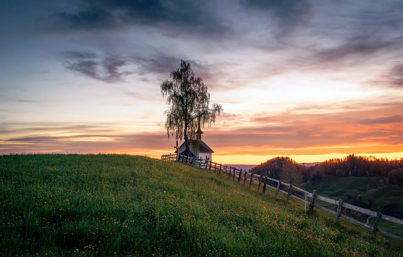 Wallpaper summer, the fence, Zach for mobile and desktop, section ...