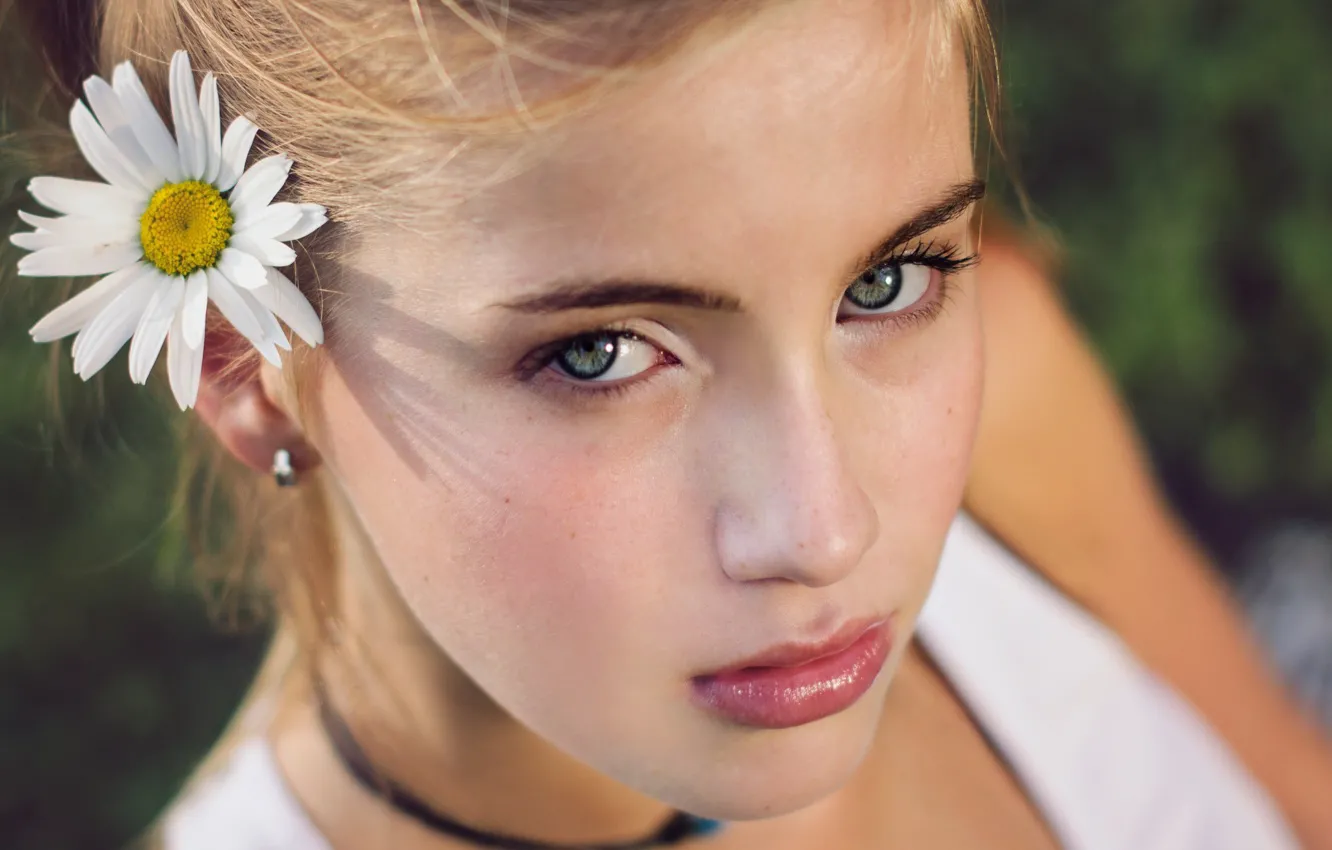 Wallpaper portrait, chamomile, girl, sponge, Tanya Markova for mobile ...