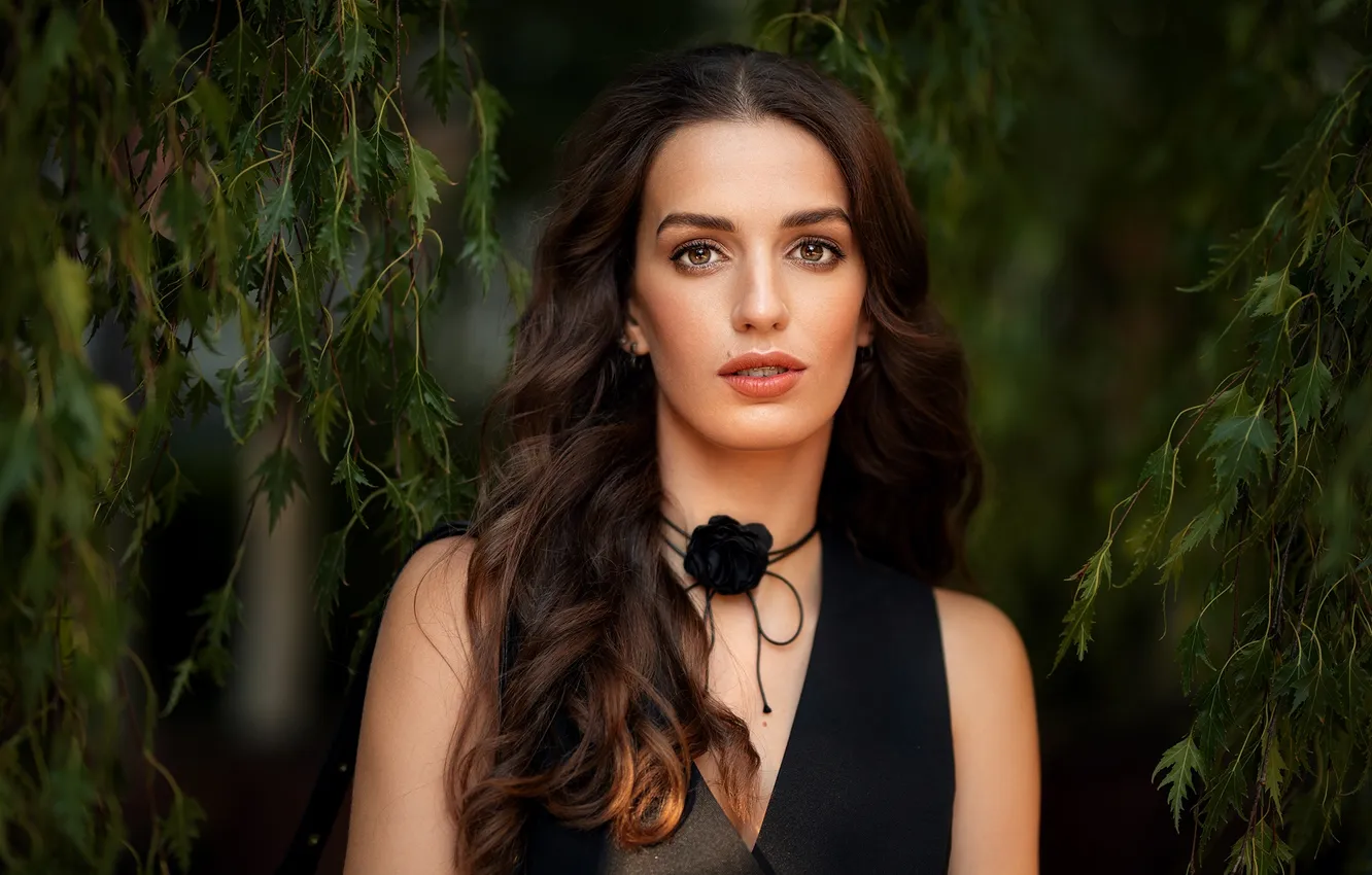 Wallpaper look, girl, branches, face, portrait, long hair, Dmitry ...