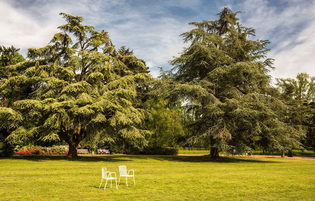 Wallpaper Greens Summer Grass Trees Flowers Park Lawn Chairs For