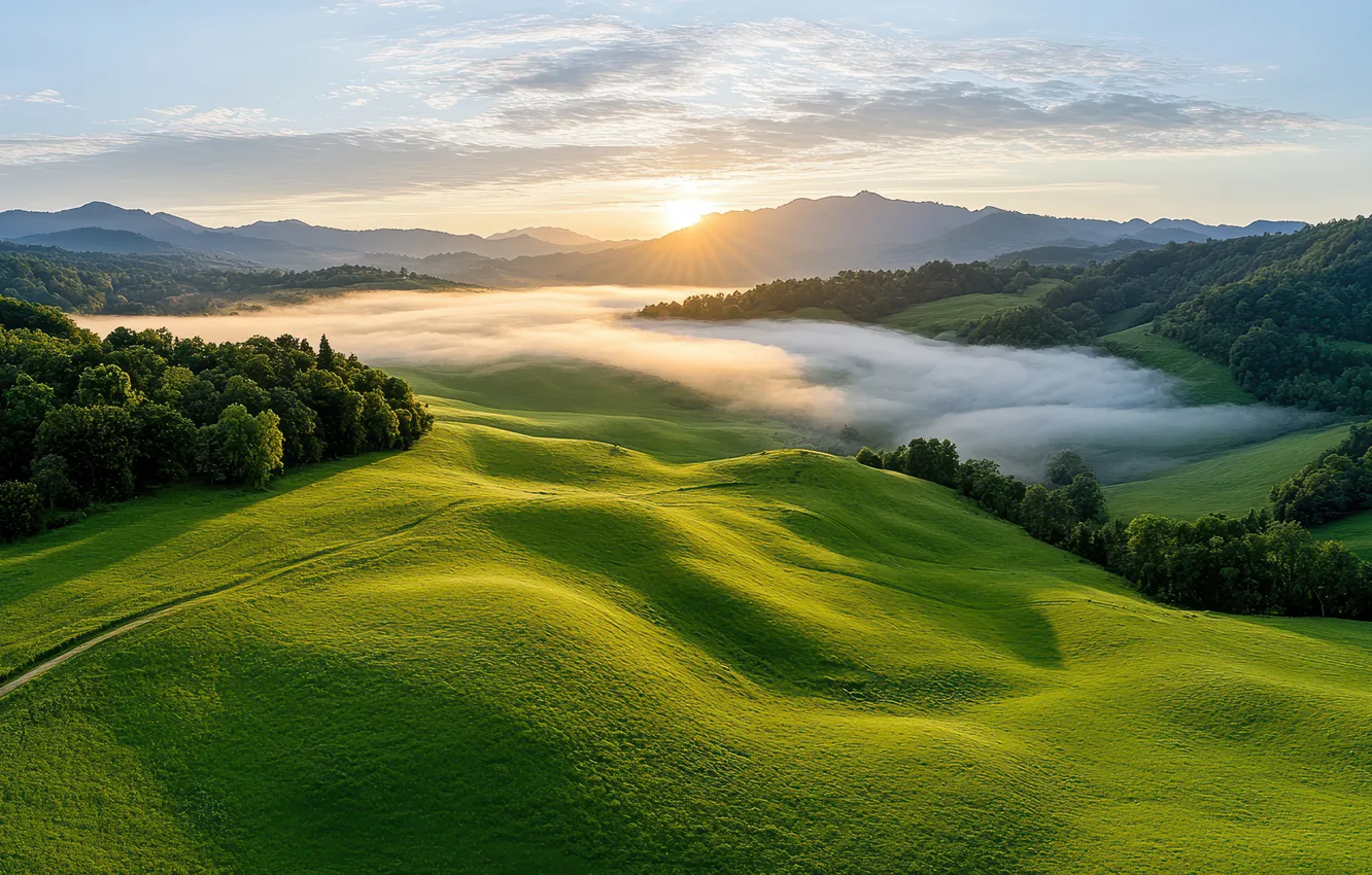 Wallpaper greens, field, forest, the sun, clouds, mountains, fog, dawn ...