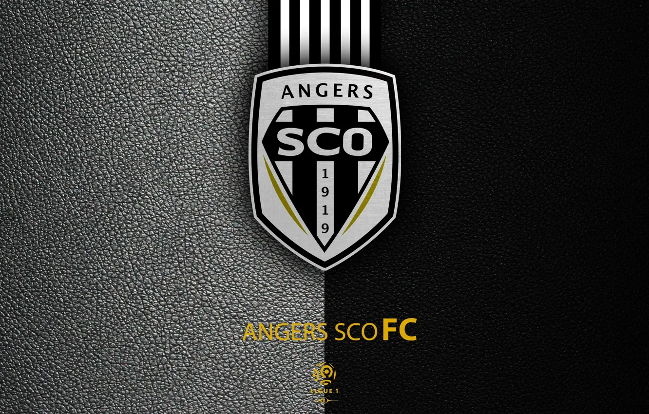 Wallpaper wallpaper, sport, logo, football, Ligue 1, Angers SCO images ...