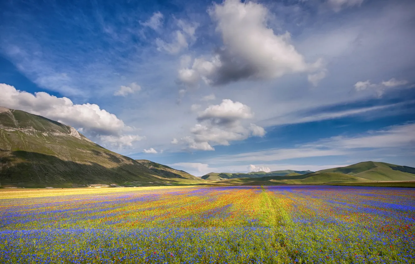 Wallpaper field, clouds, mountains, field, multicolor, clouds, mountain ...