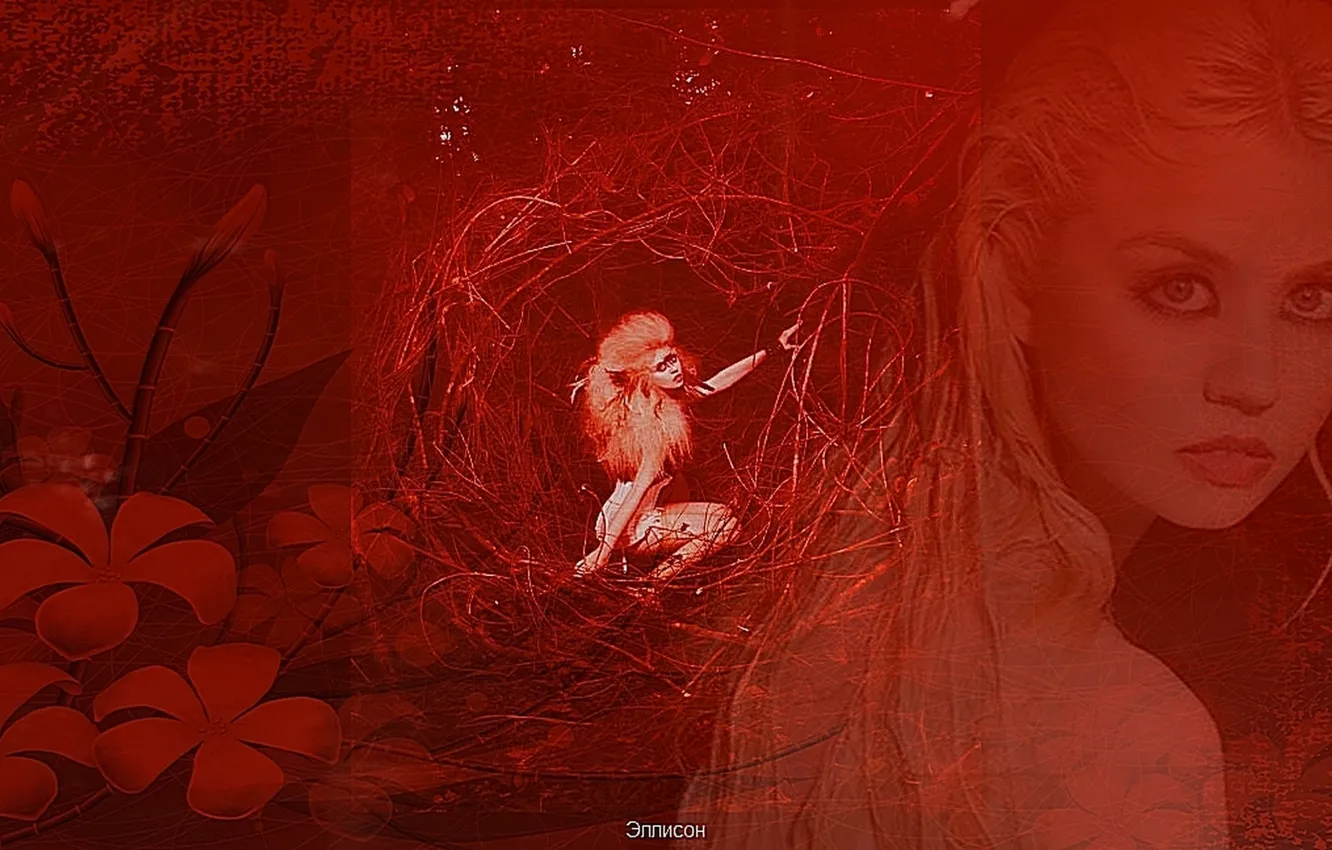 Wallpaper eyes, girl, flowers, Allison, TOP model for mobile and ...