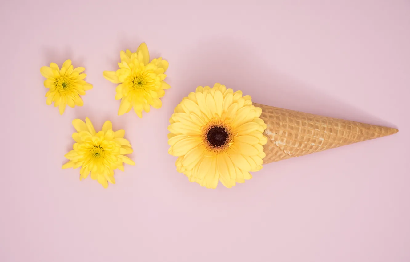Wallpaper background, petals, pink, gerbera, decor for mobile and ...
