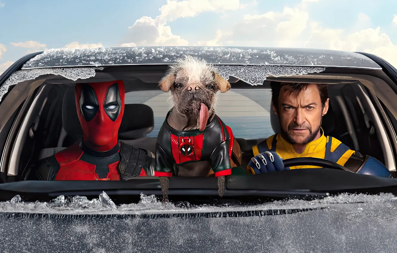 Wallpaper machine, dog, Wolverine, Deadpool, Deadpool & Wolverine for ...