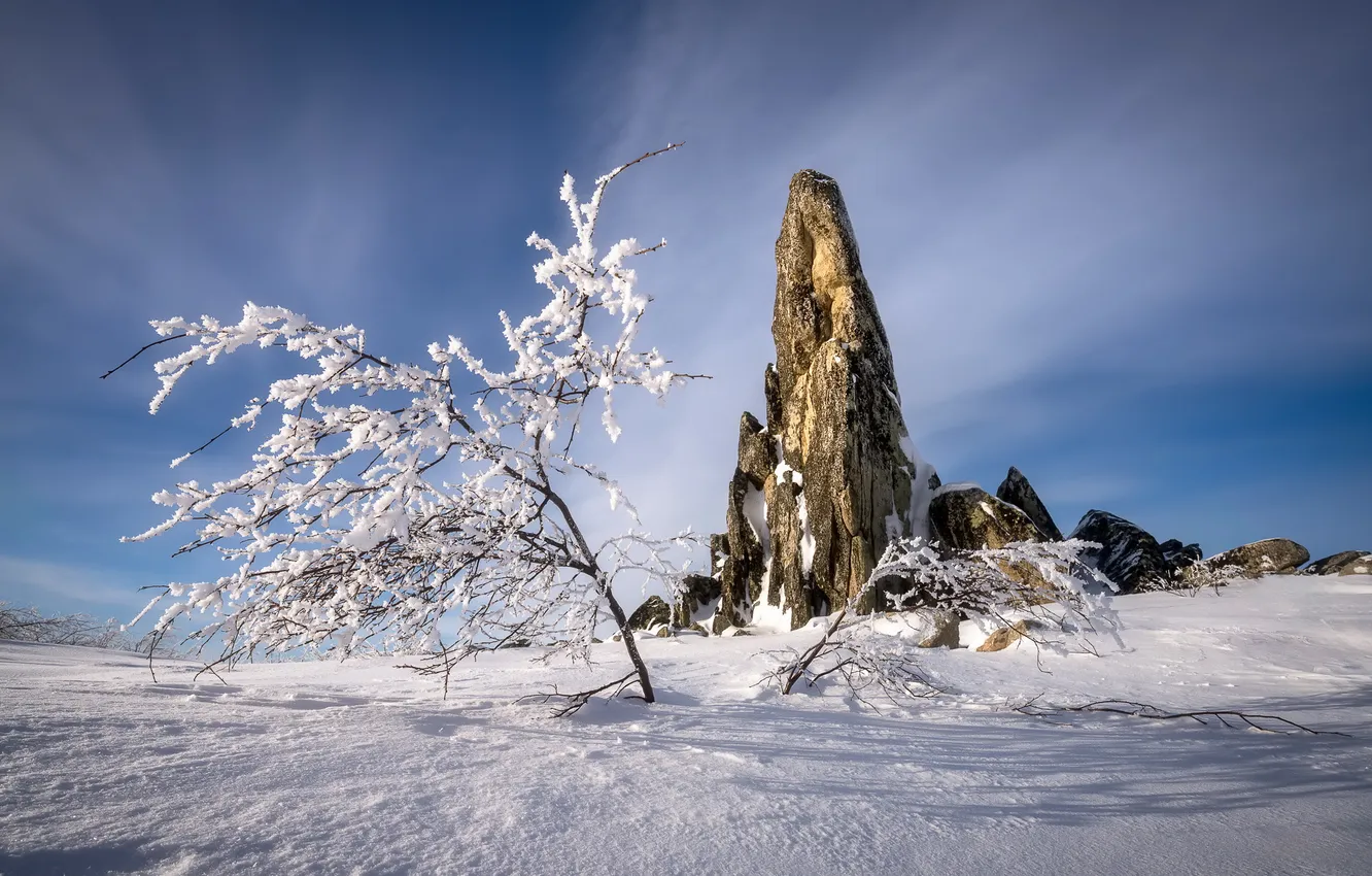 Wallpaper winter, snow, rock, tree for mobile and desktop, section ...