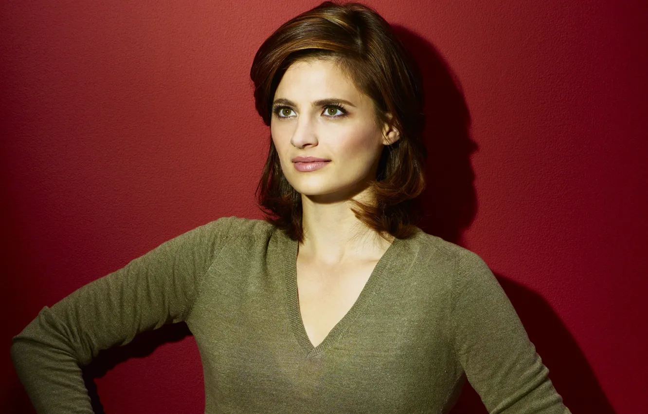 Wallpaper look, pose, smile, actress, smile, hair, look, Stana Katic ...