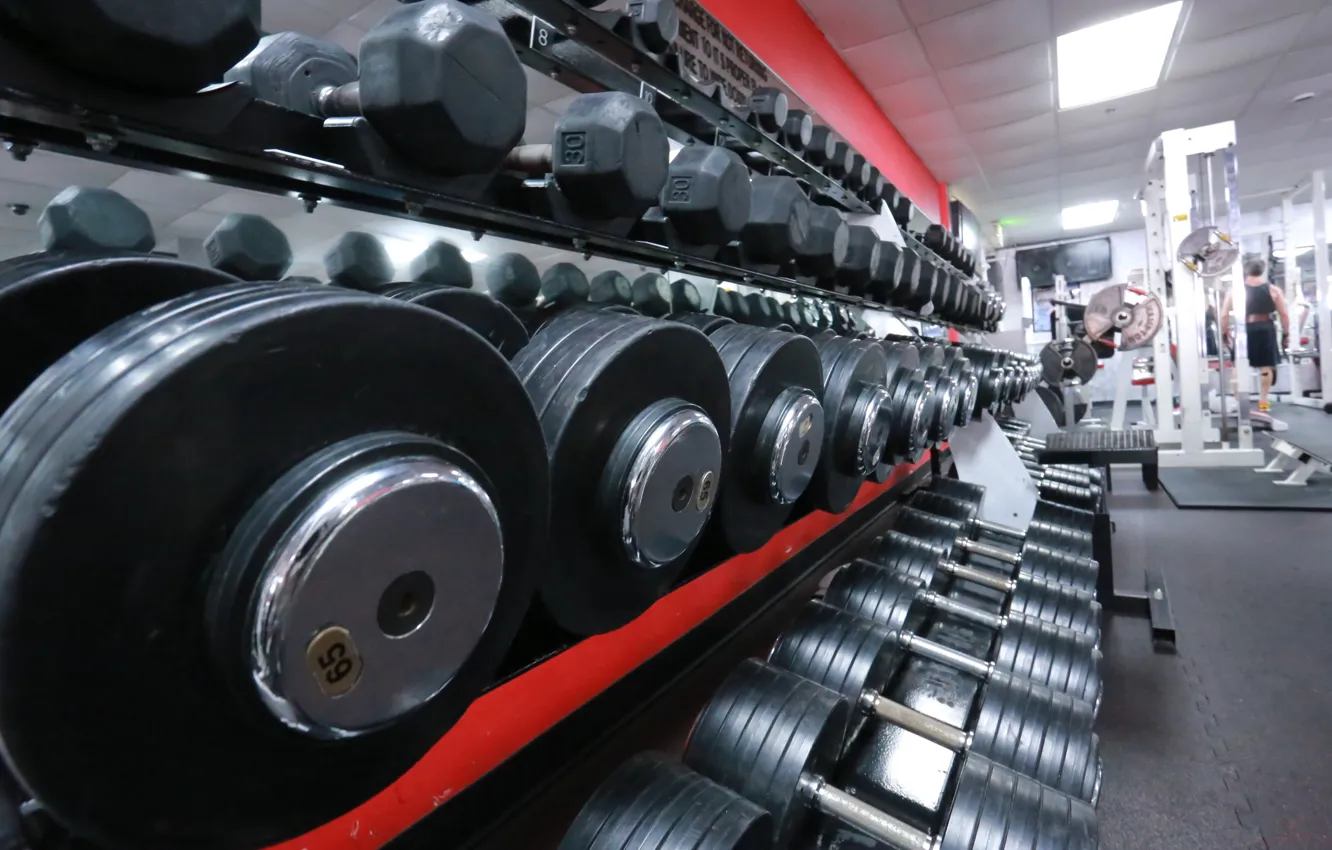 Wallpaper fitness, gym, dumbells for mobile and desktop, section спорт ...