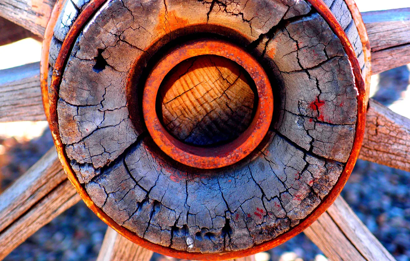 Wallpaper tree, wheel, spokes, cart, rim, axis for mobile and desktop ...