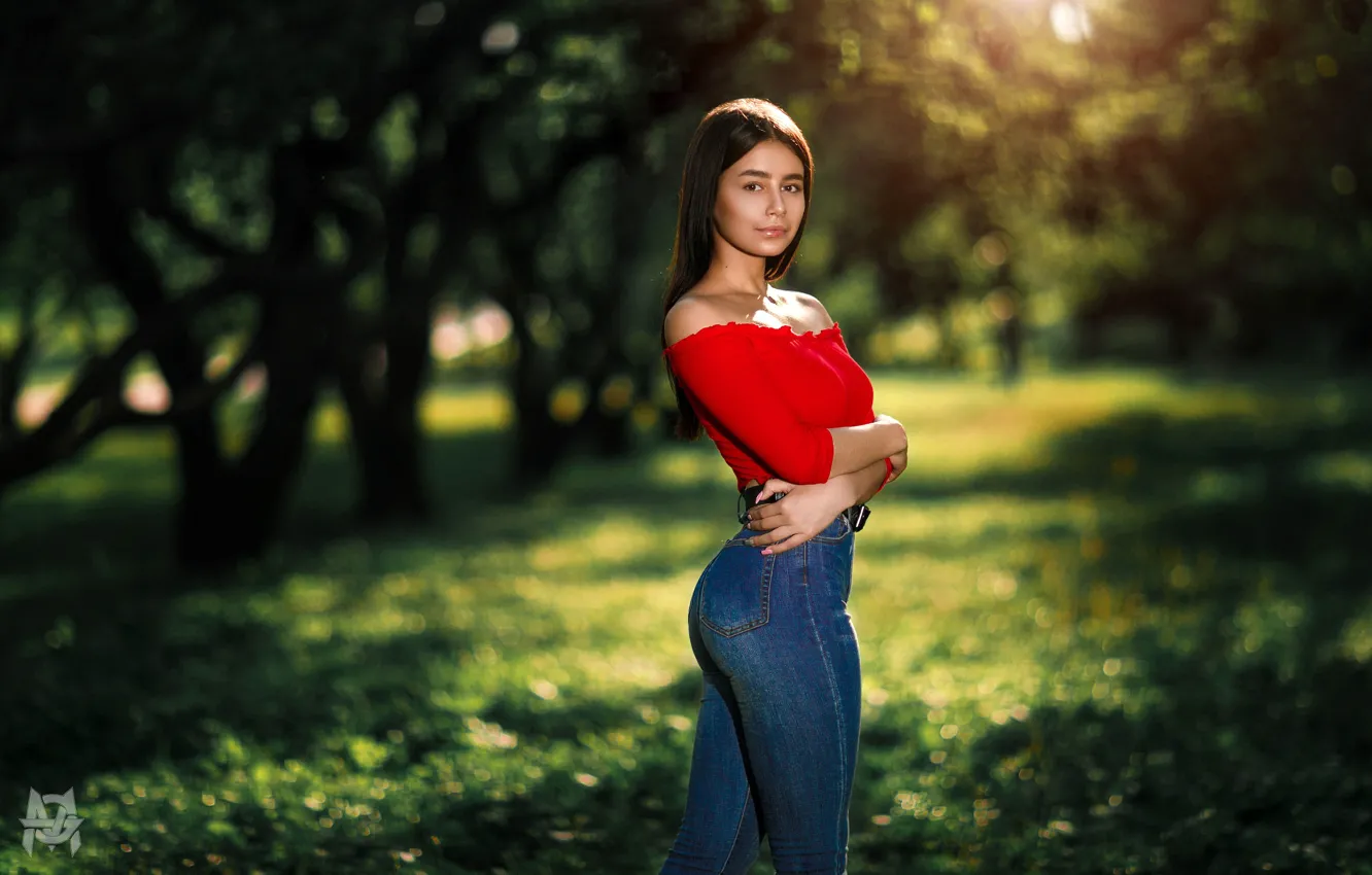 Wallpaper Greens Grass Look The Sun Trees Sexy Park Background