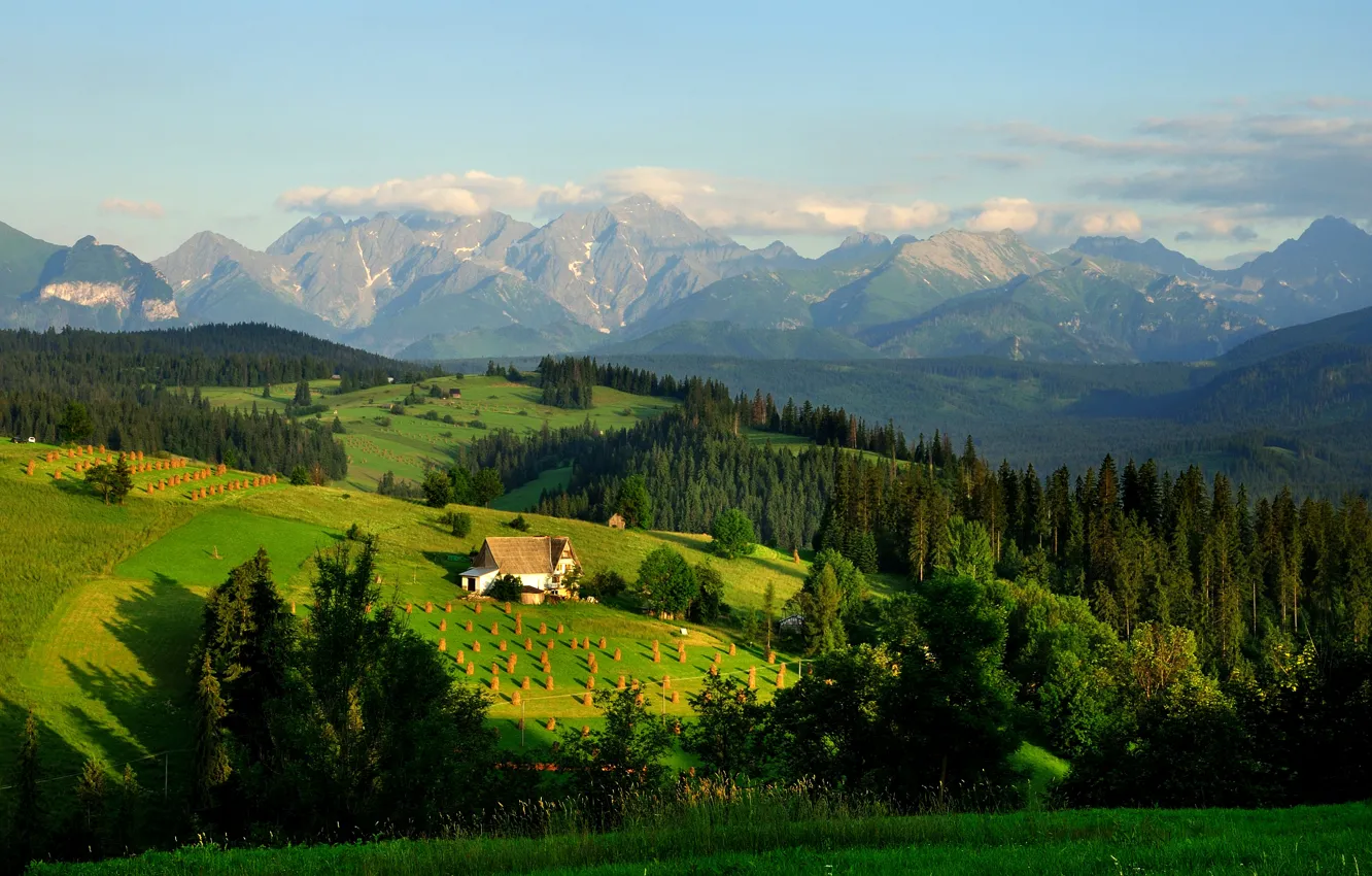 Wallpaper Nature, Home, Mountains, Forest, Poland, Meadow, Field ...