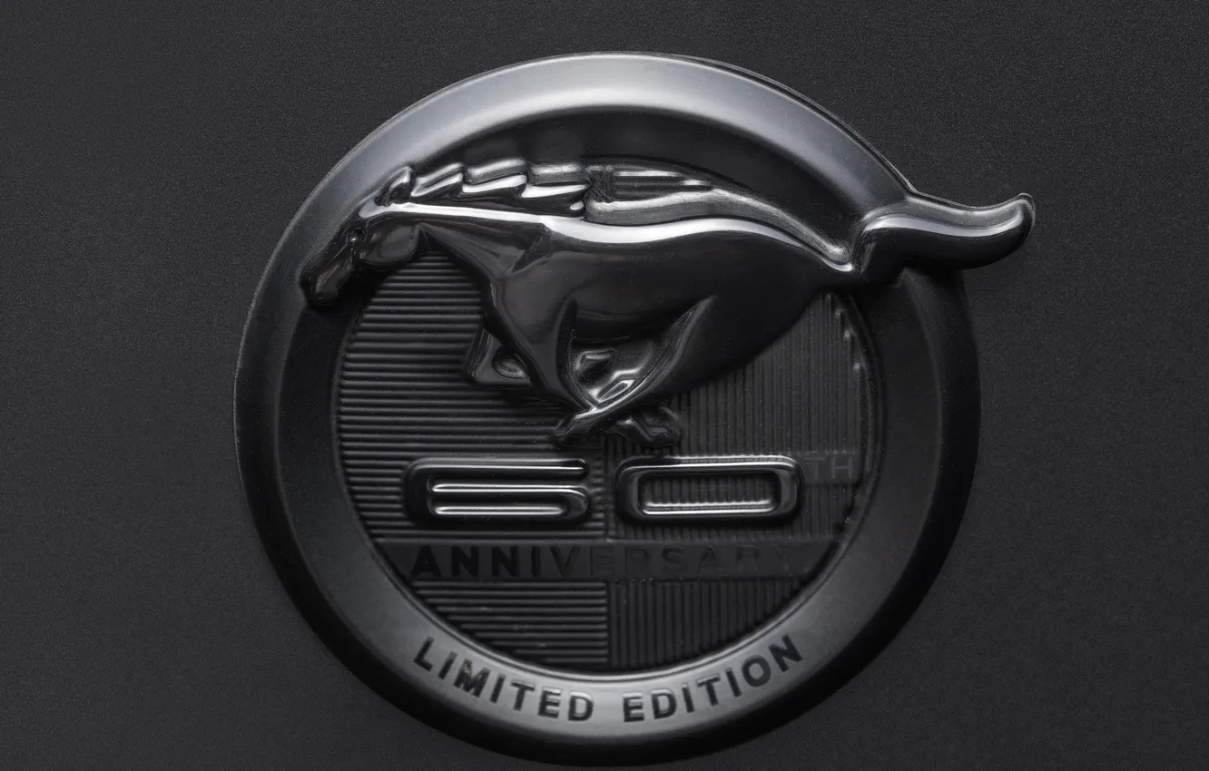 Wallpaper Ford, logo, emblem, logo, grey background, Ford, Brazil, Ford ...