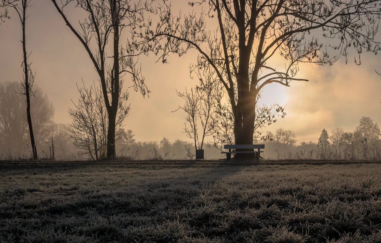 Wallpaper nature, Park, morning, bench for mobile and desktop, section ...