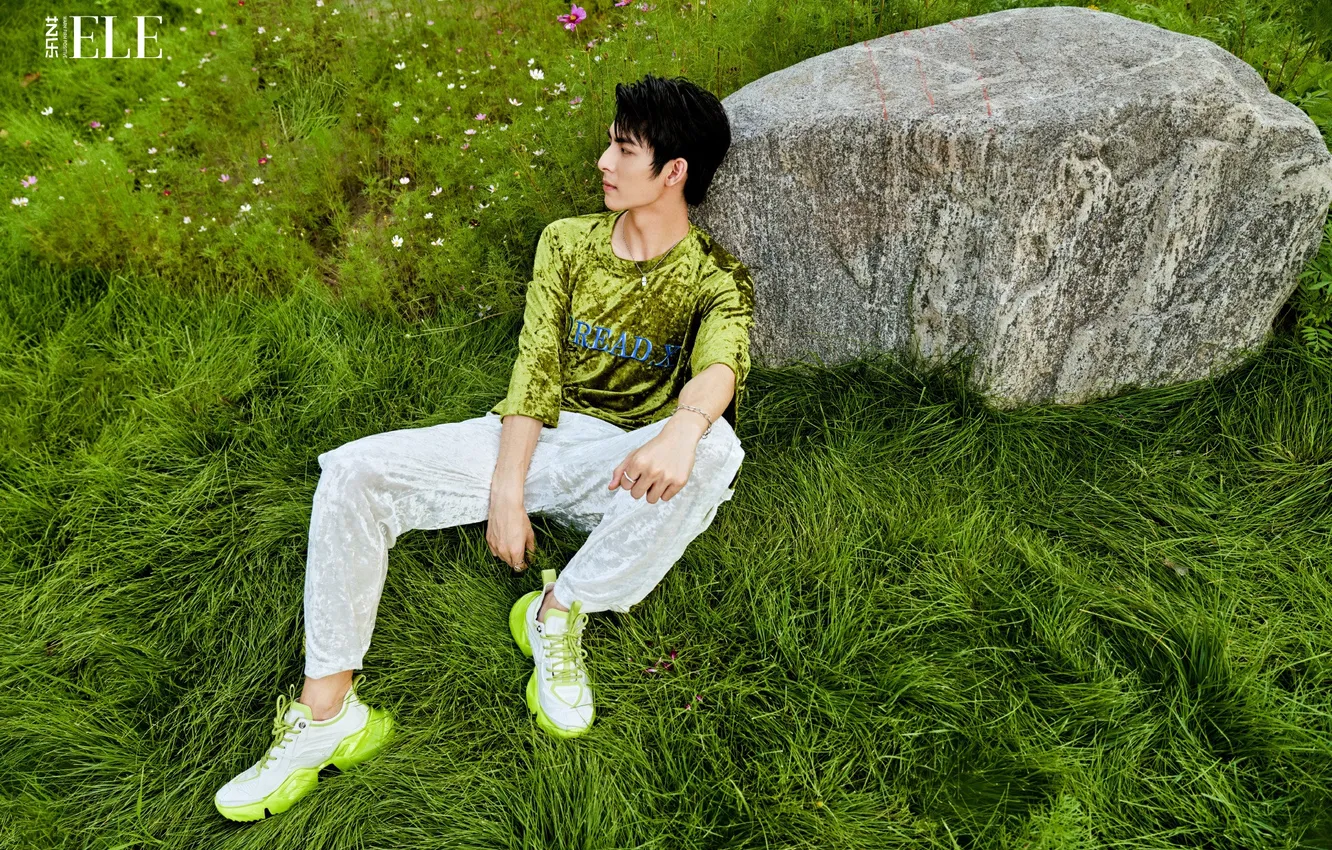 Wallpaper grass, stone, China, profile, guy, sitting, chinese actor ...