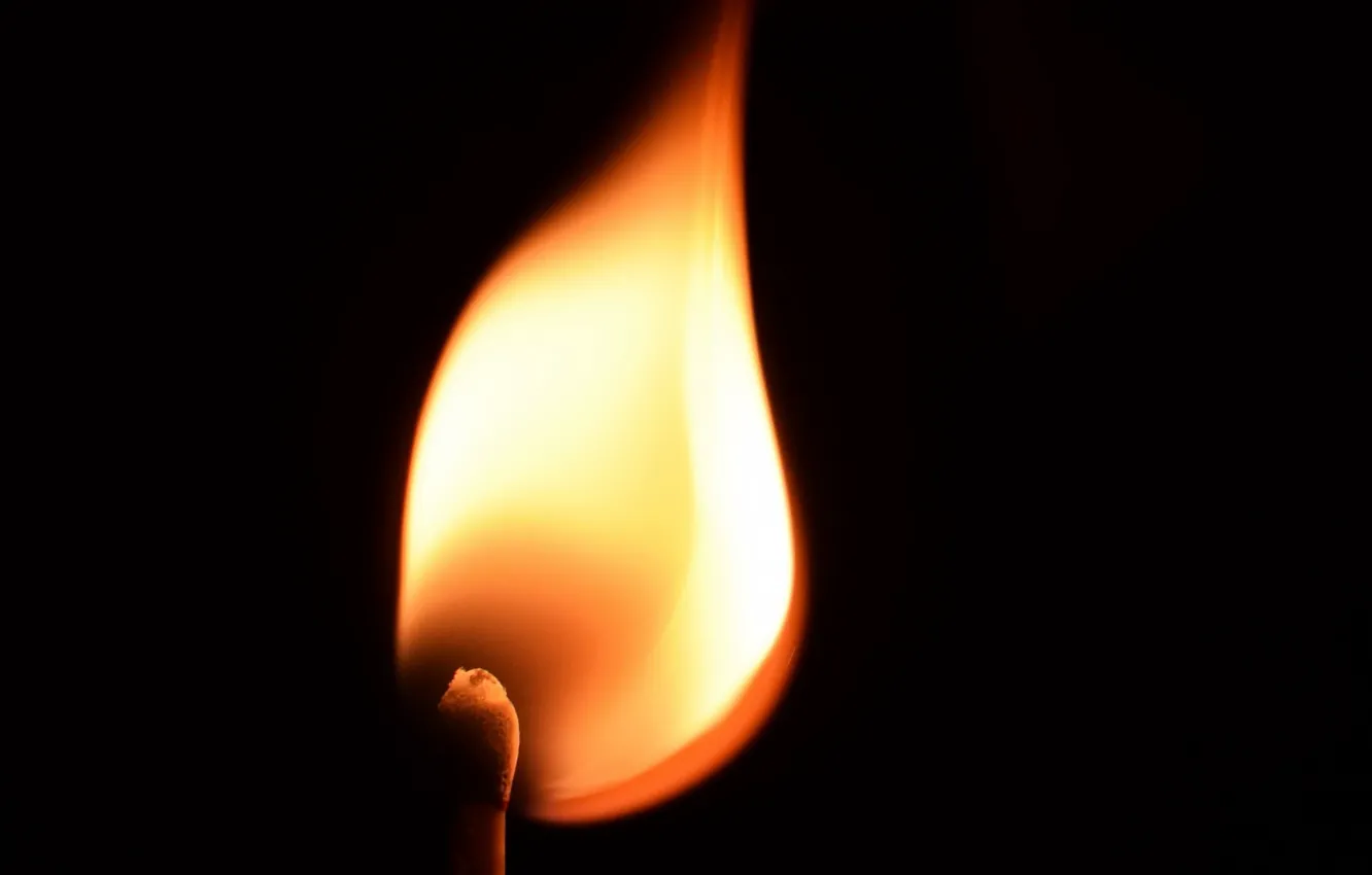 Wallpaper macro, fire, match for mobile and desktop, section макро ...