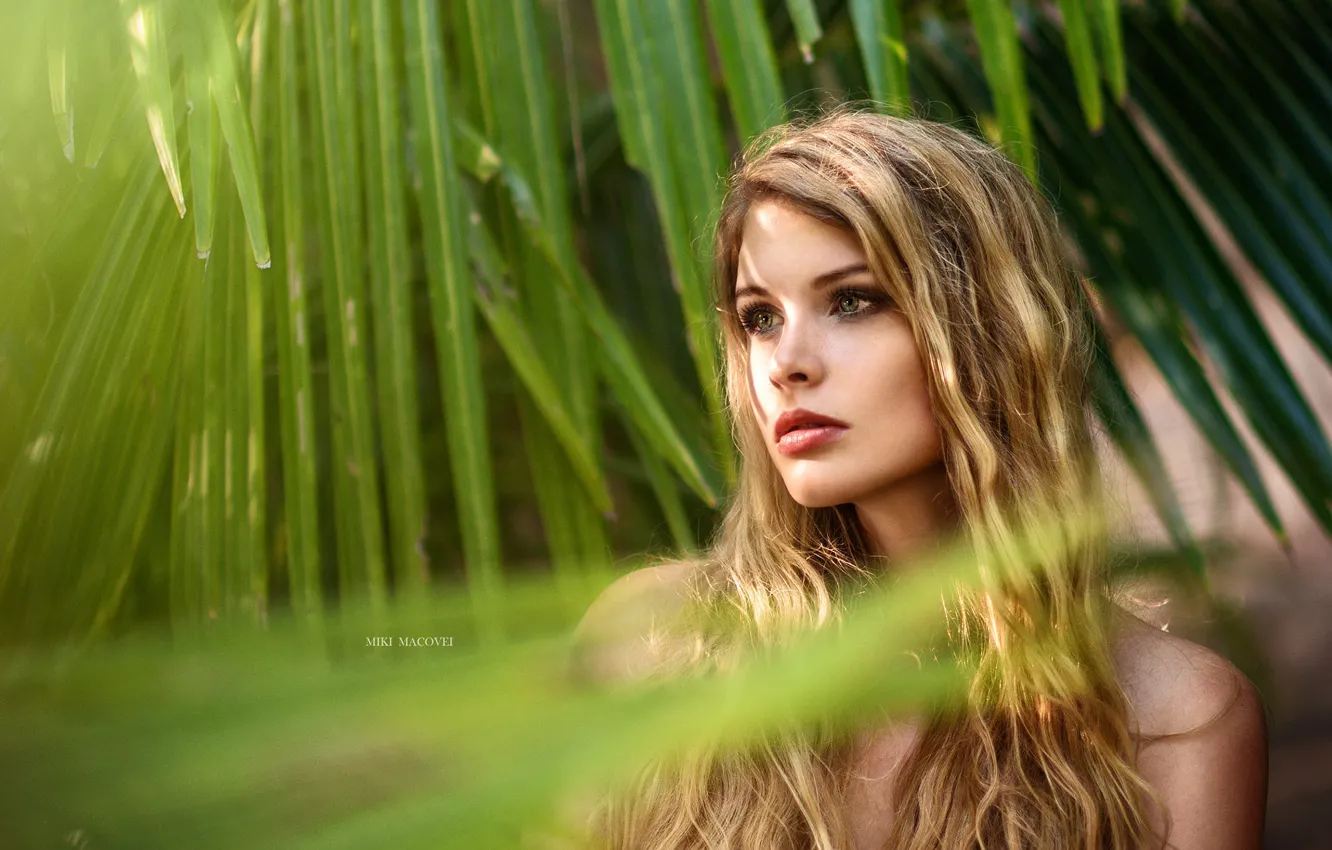 Wallpaper Look Girl Nature Face Palma Photo Model Black For