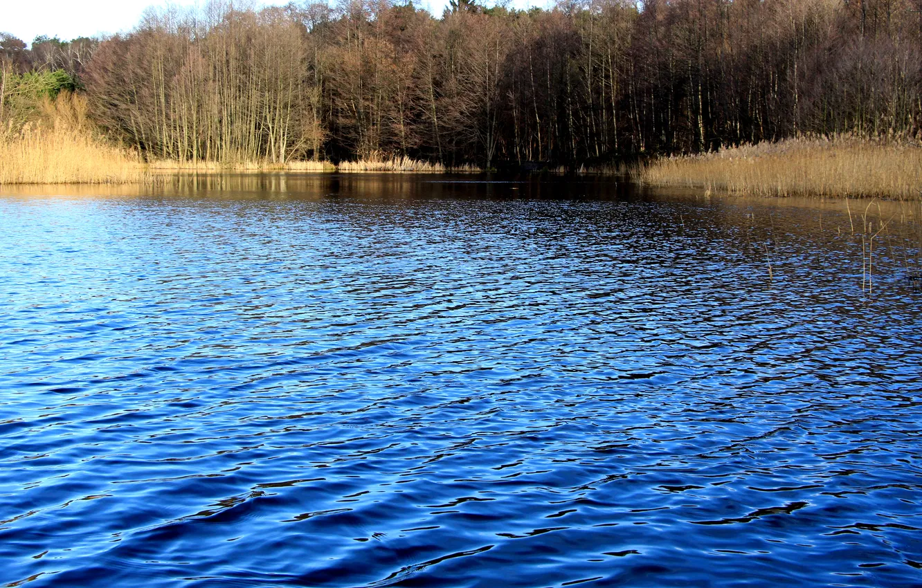 Wallpaper water, lake, pnd for mobile and desktop, section пейзажи ...