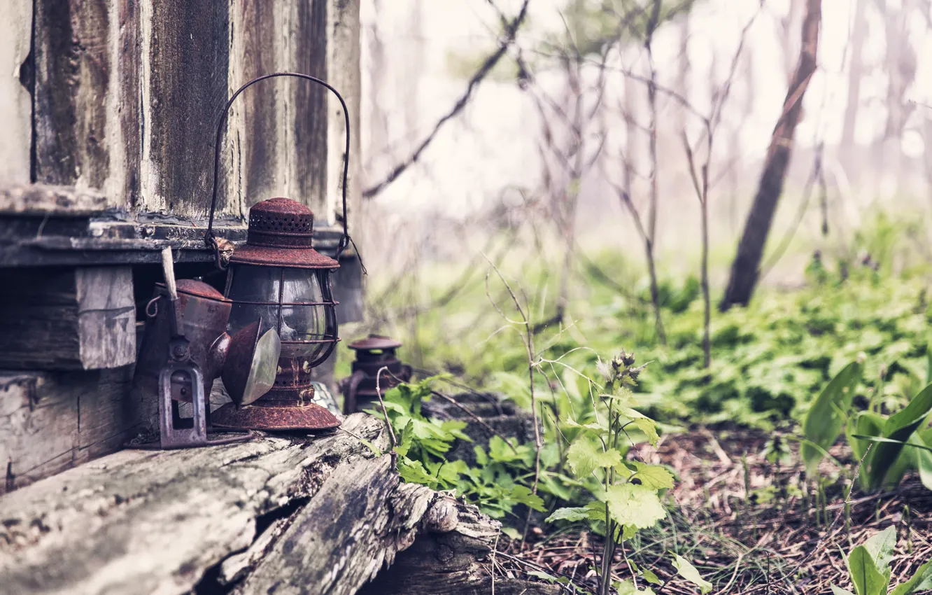 Wallpaper forest, lamp, in the woods images for desktop, section ...