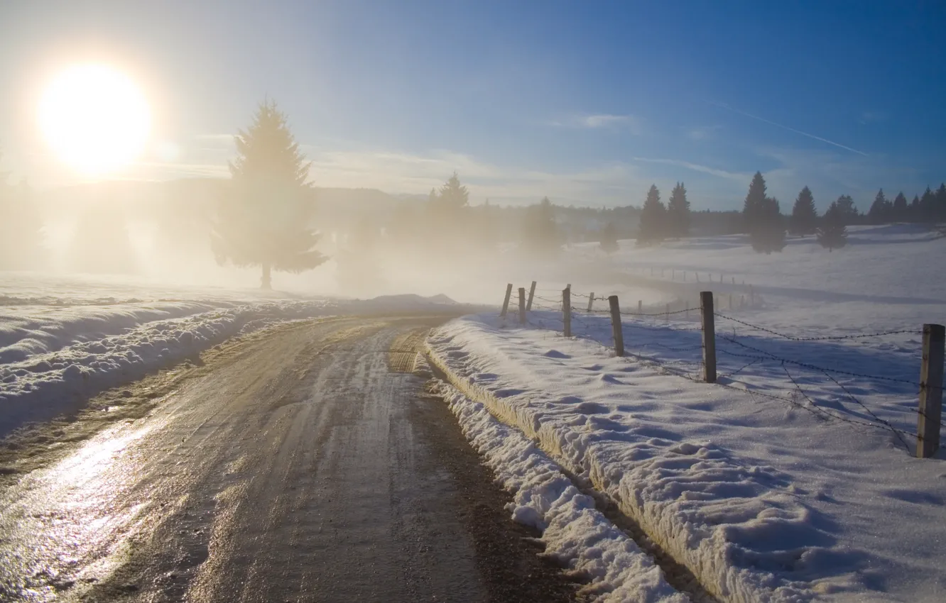 Wallpaper road, the sky, the sun, trees, nature, tree, dawn, road ...