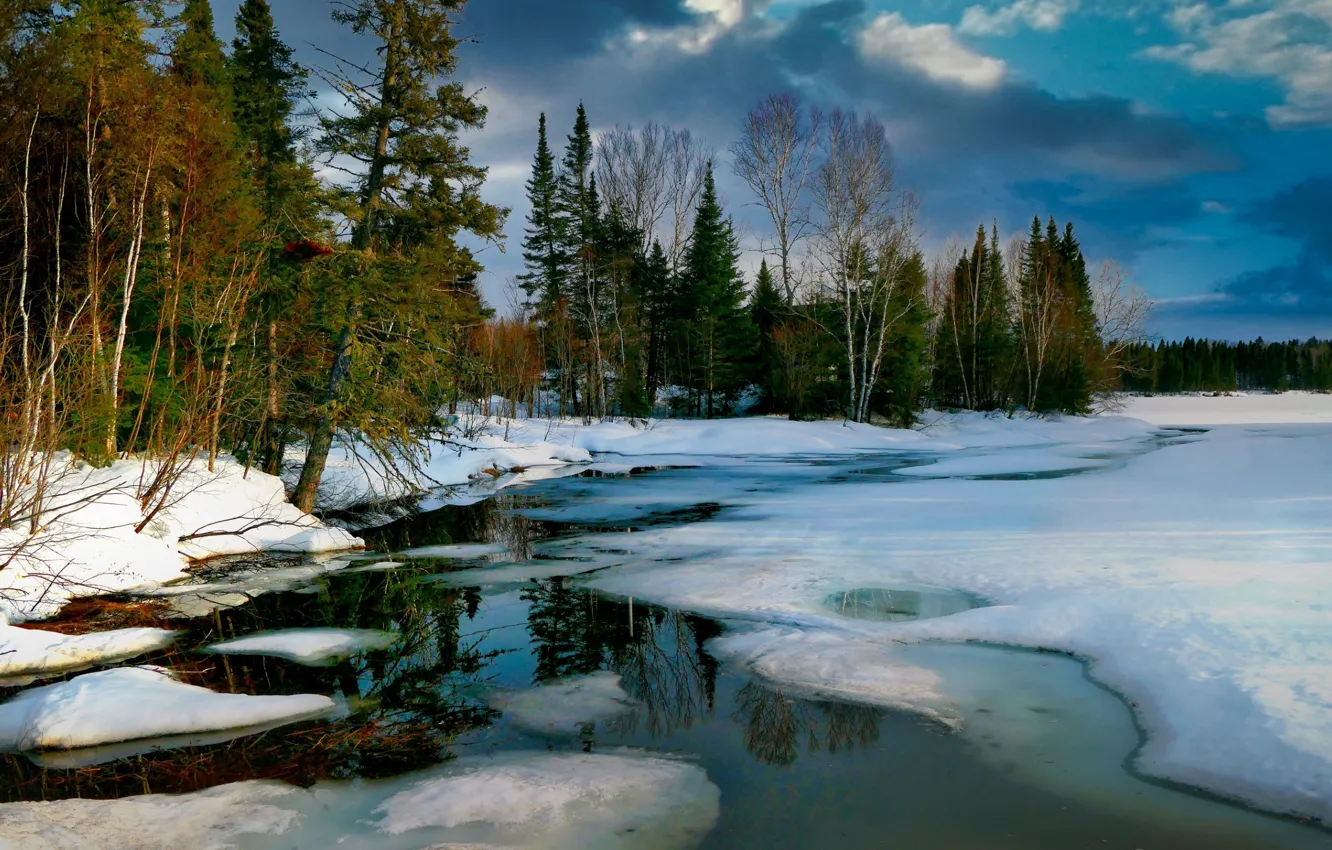 Wallpaper forest, snow, landscape, nature, lake, ice, spring, Canada ...
