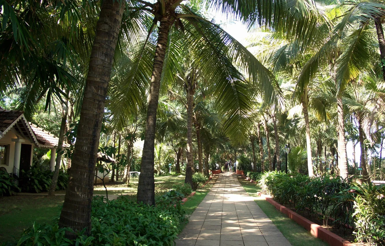 Wallpaper Goa, Goa, Nature Park, Bardez, Bardez, Nature Park images for ...