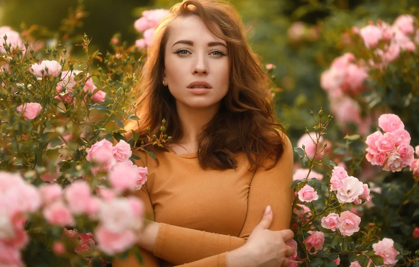 Wallpaper model, roses, Elena Zharkova for mobile and desktop, section ...