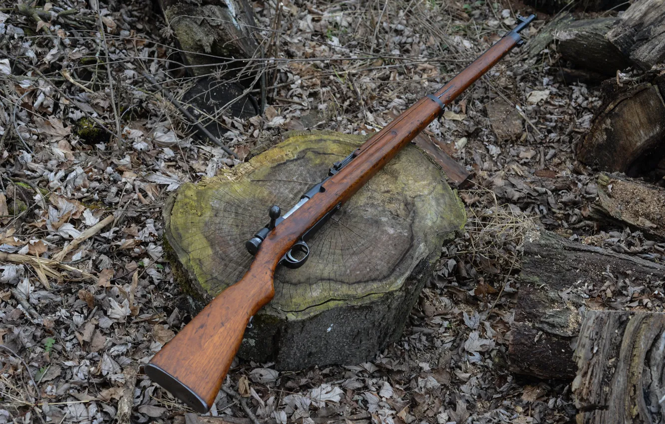 Wallpaper rifle, Japanese, store, Type 38 for mobile and desktop ...