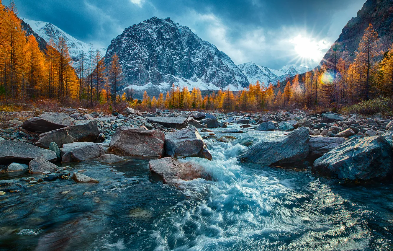 Wallpaper autumn, forest, mountains, river, stones, Russia, Altay, The Altai mountains for ...