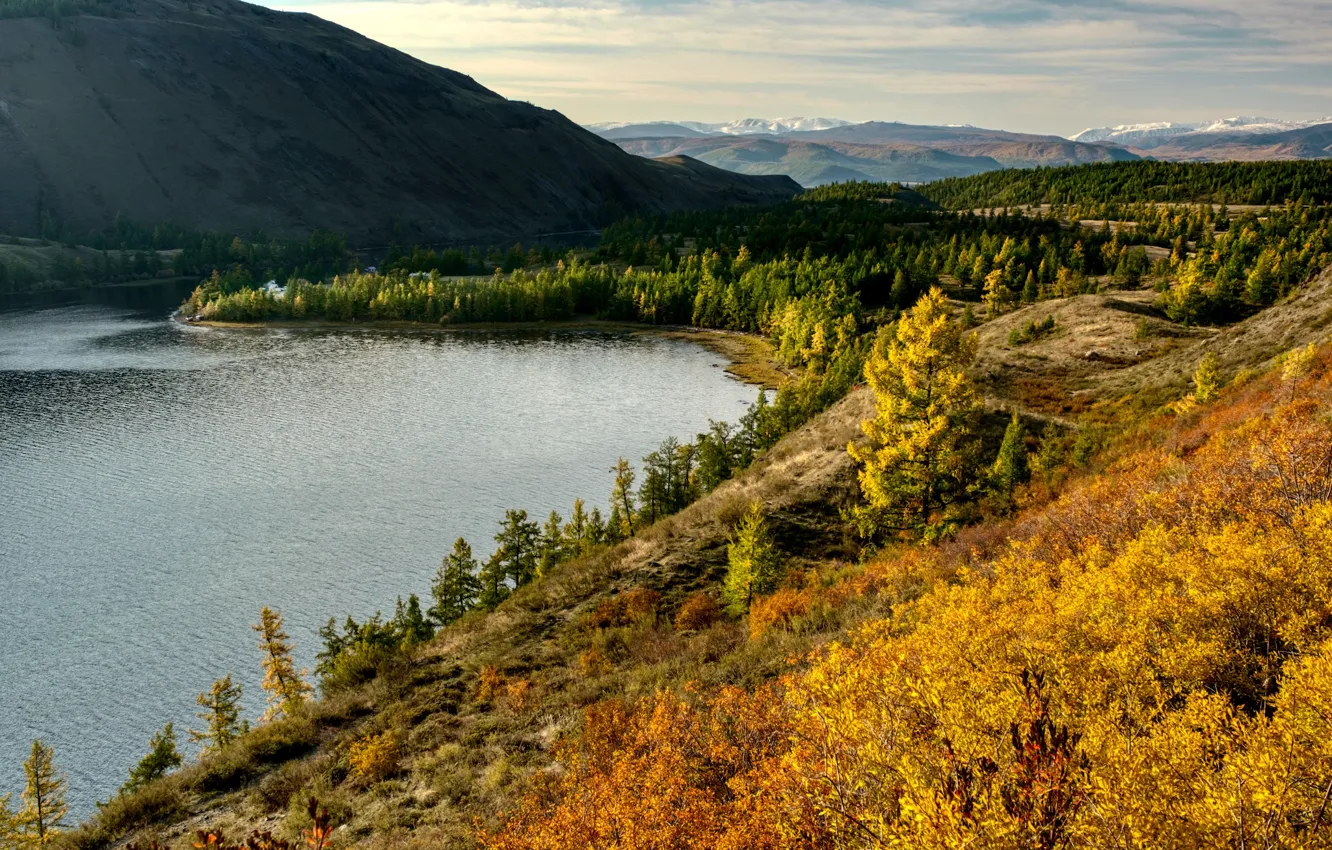 Wallpaper the sky, the sun, trees, lake, Konstantin Leontiev images for ...