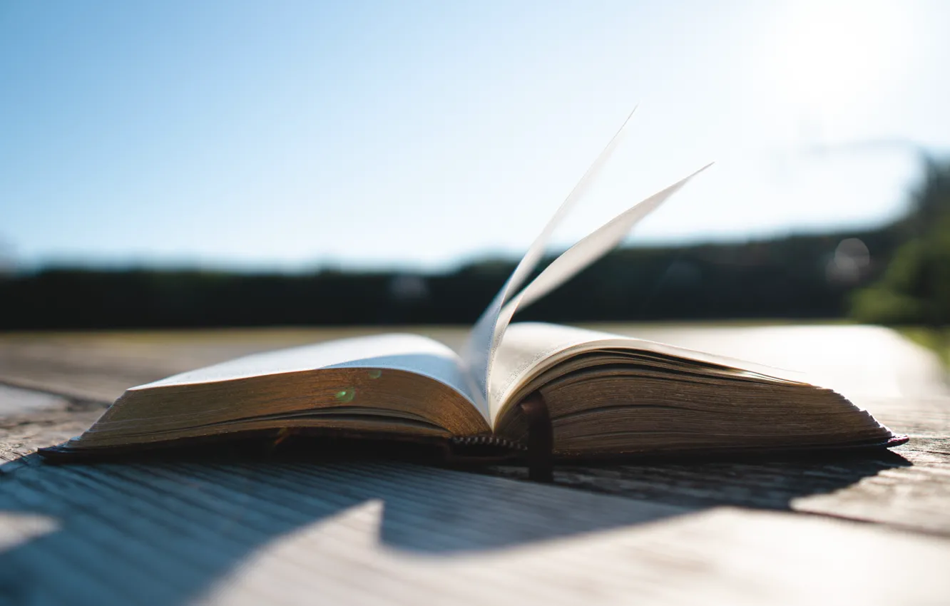 Wallpaper Christian, Summer, God, Book, Bible, Sunlight, Wind, Jesus ...