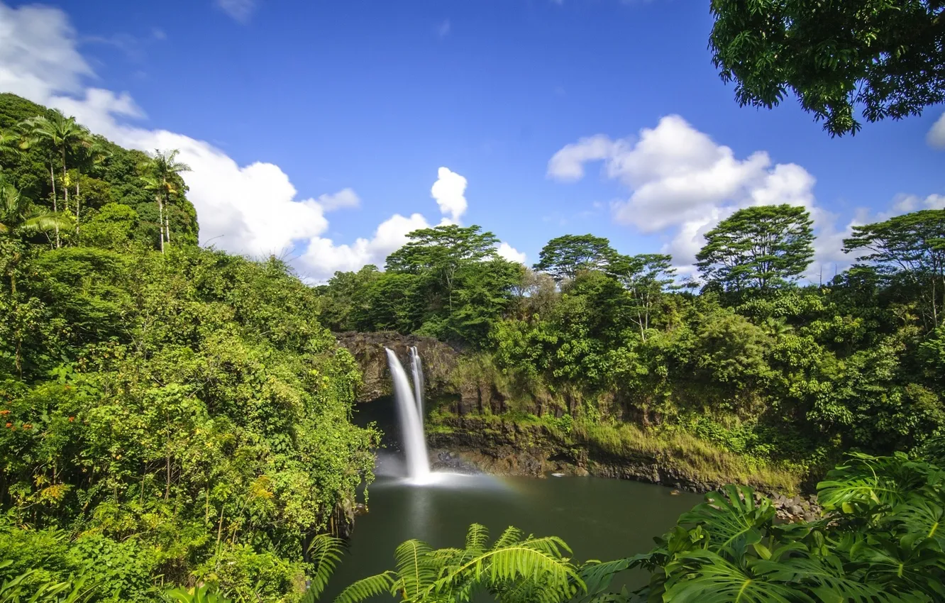 Wallpaper the sky, clouds, trees, foliage, waterfall, Nature images for ...