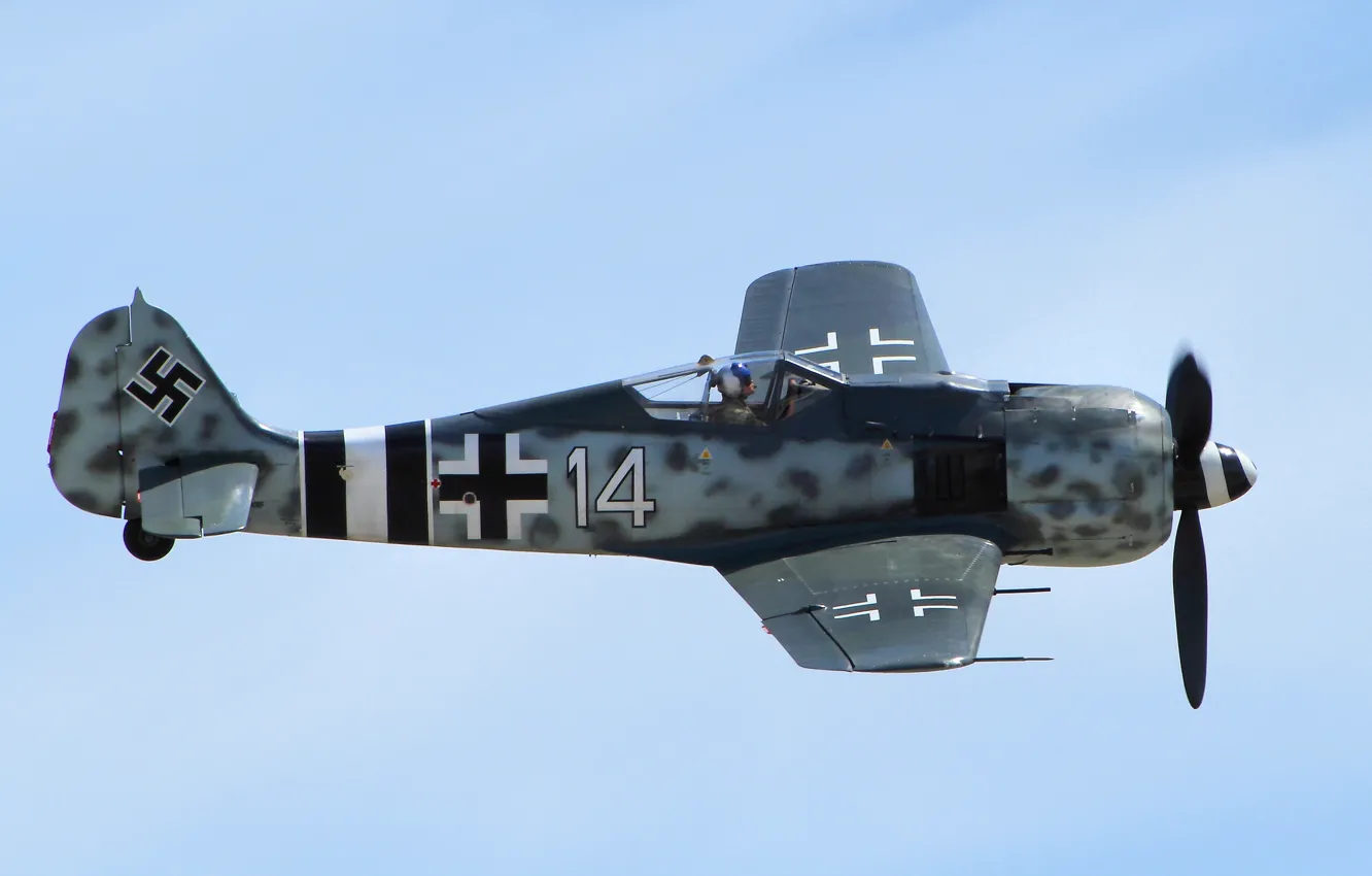 Wallpaper flight, fighter, Messerschmitt, Fw-190 for mobile and desktop ...
