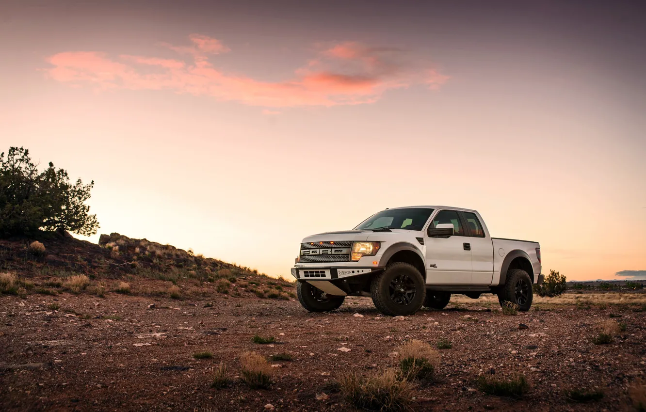 Wallpaper Ford, Raptor, Sunset, White for mobile and desktop, section ...