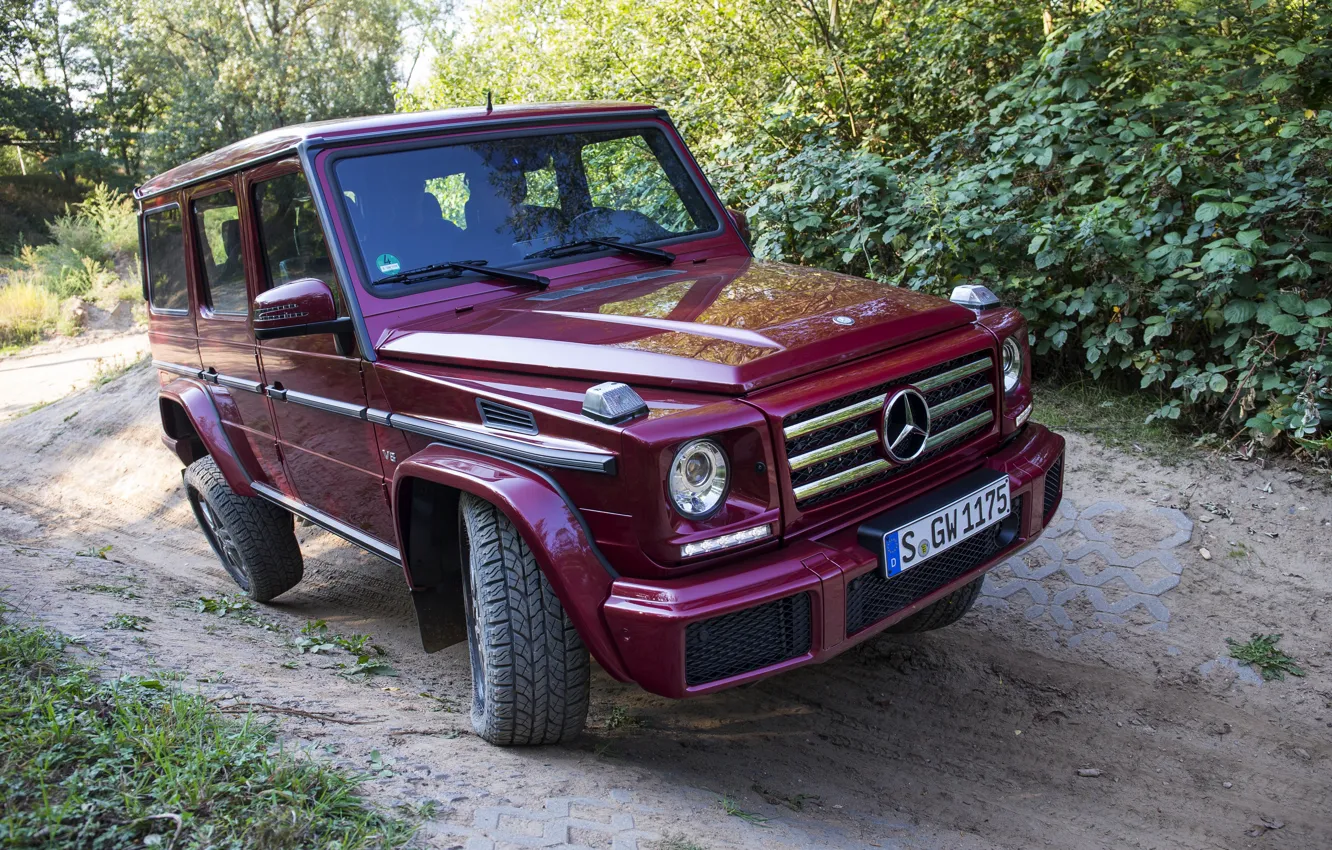 Wallpaper Mercedes-Benz, SUV, shrub, G500, G-Class, 2015, G 500, V8 ...