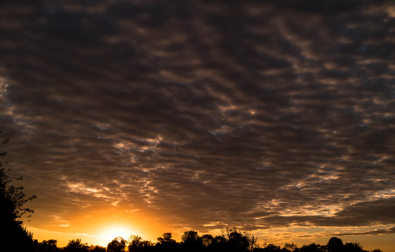 Wallpaper sunset, glow, autumn, evening, sun for mobile and desktop ...