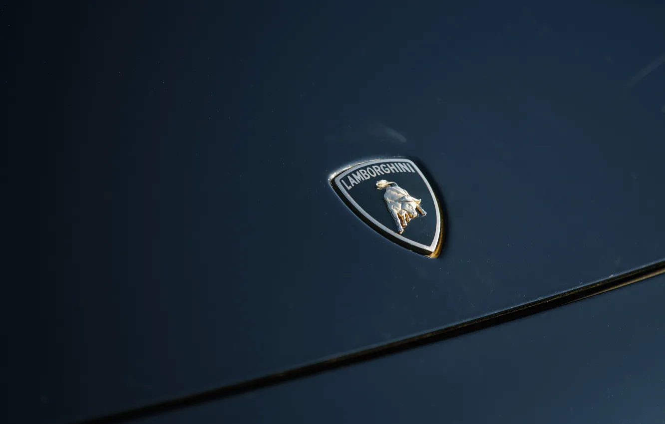 Wallpaper Lamborghini, logo, Gallardo, lambo, bull, Lamborghini ...