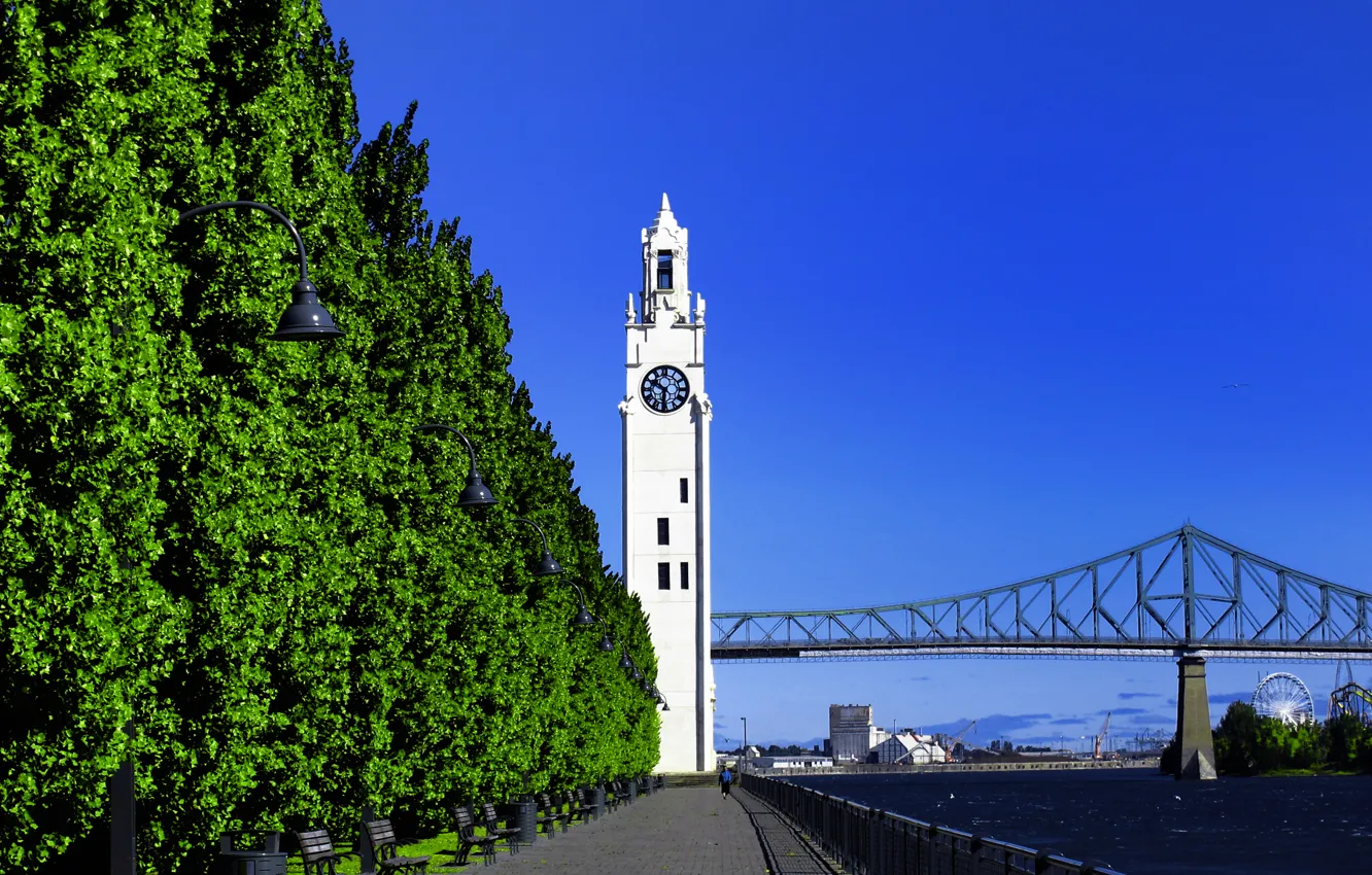 Wallpaper the sky, trees, bridge, watch, tower, port, Montreal ...