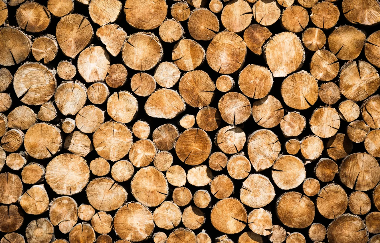 Wallpaper tree, logs, many for mobile and desktop, section текстуры ...